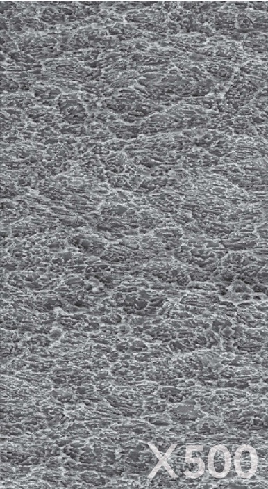 BIOTEM Implant System sell Best [#1] in Dubai UAE | Alhami