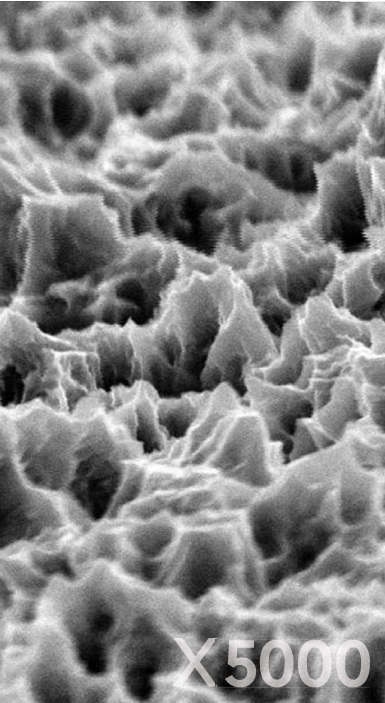 BIOTEM Implant System sell Best [#1] in Dubai UAE | Alhami